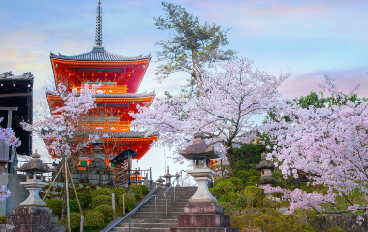 A Complete Guide on Moving to Japan – Jeton Blog